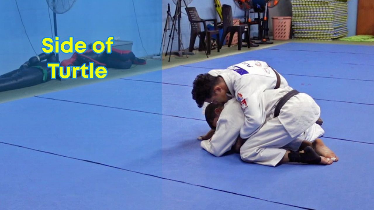 Side of Turtle - KL Judo